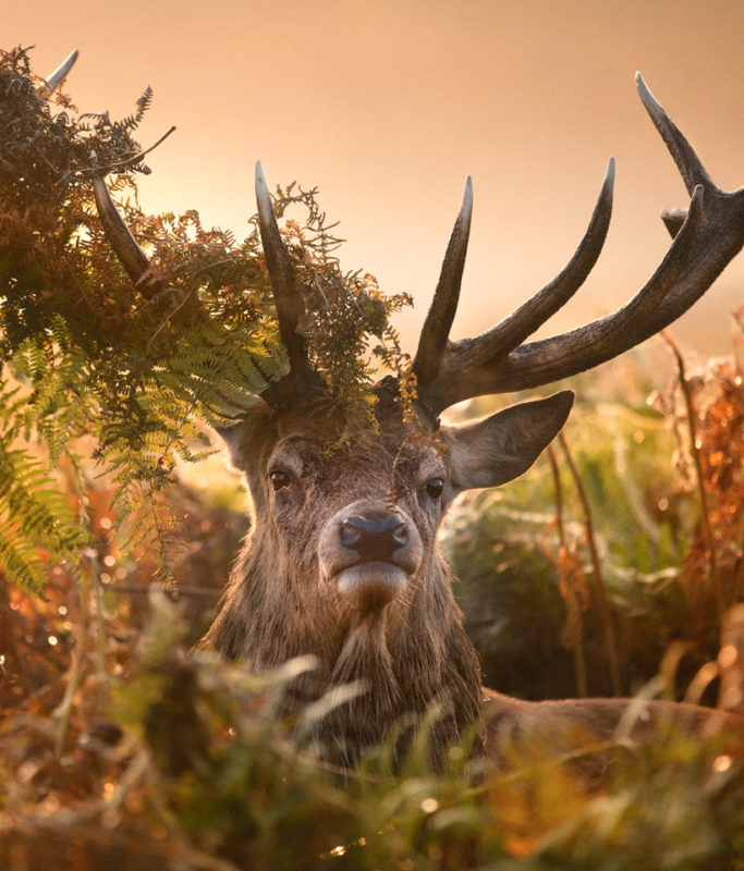 Cineflix Rights – Cineflix